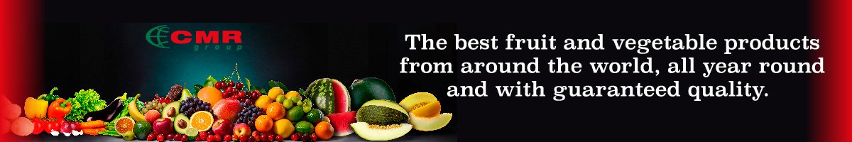 Morocco ranks 3rd in global ranking of fresh raspberry exporters ...