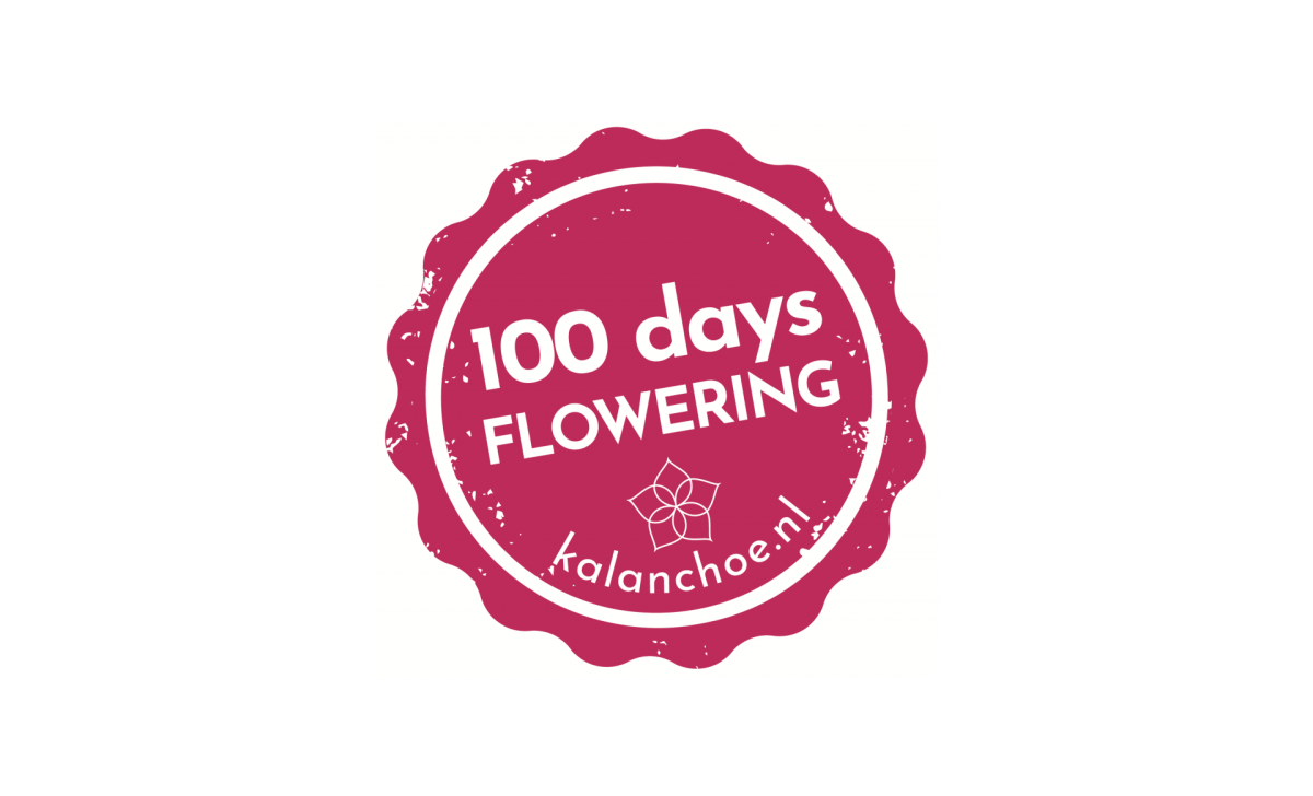 Sysco launches innovative carbon labelling system for foodservice ...